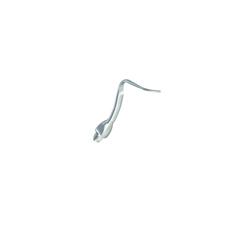 Scaling - LM-Dental